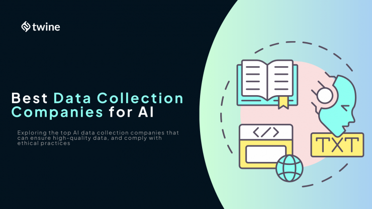 Best Data Collection Companies for AI - Twine Blog