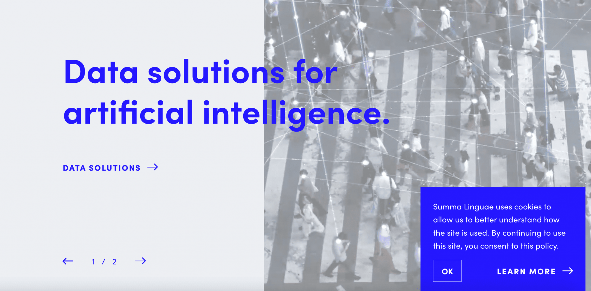 Best Data Collection Companies for AI - Twine Blog